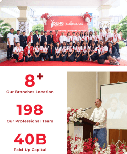 General Insurance Company - Young Insurance